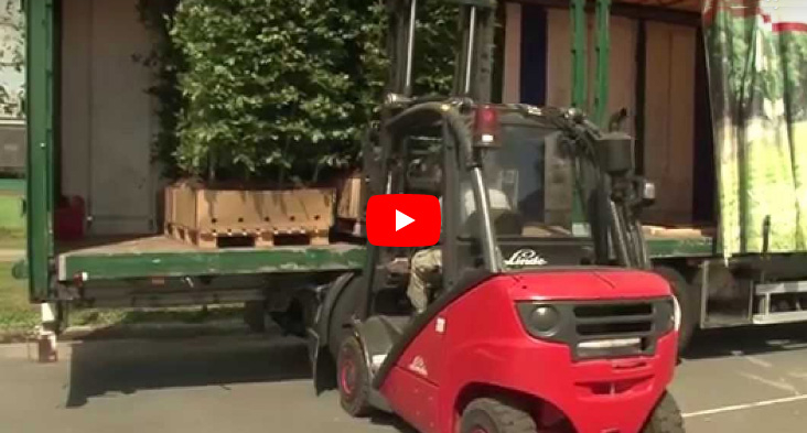 QuickHedge instant hedges - loading truck