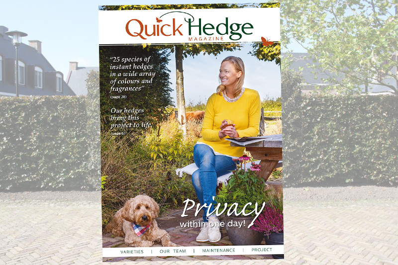 QuickHedge Magazine